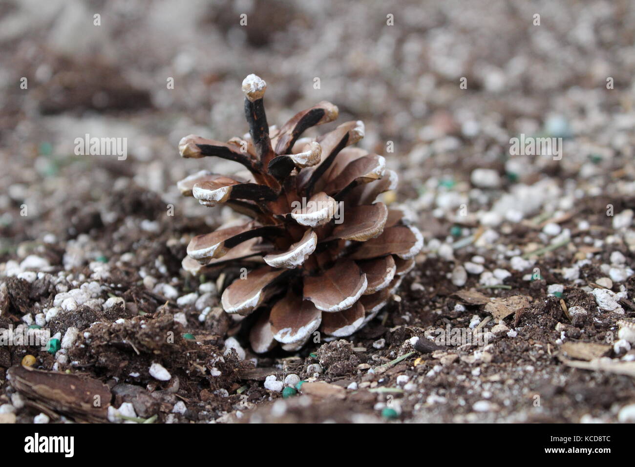 Cone lighting hi-res stock photography and images - Alamy