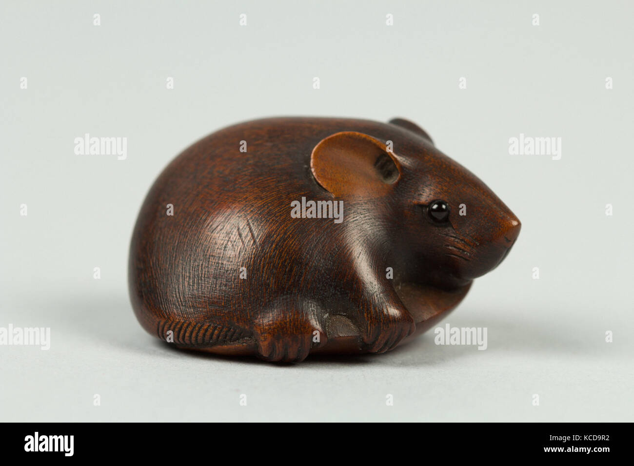Rat grasping hi-res stock photography and images - Alamy