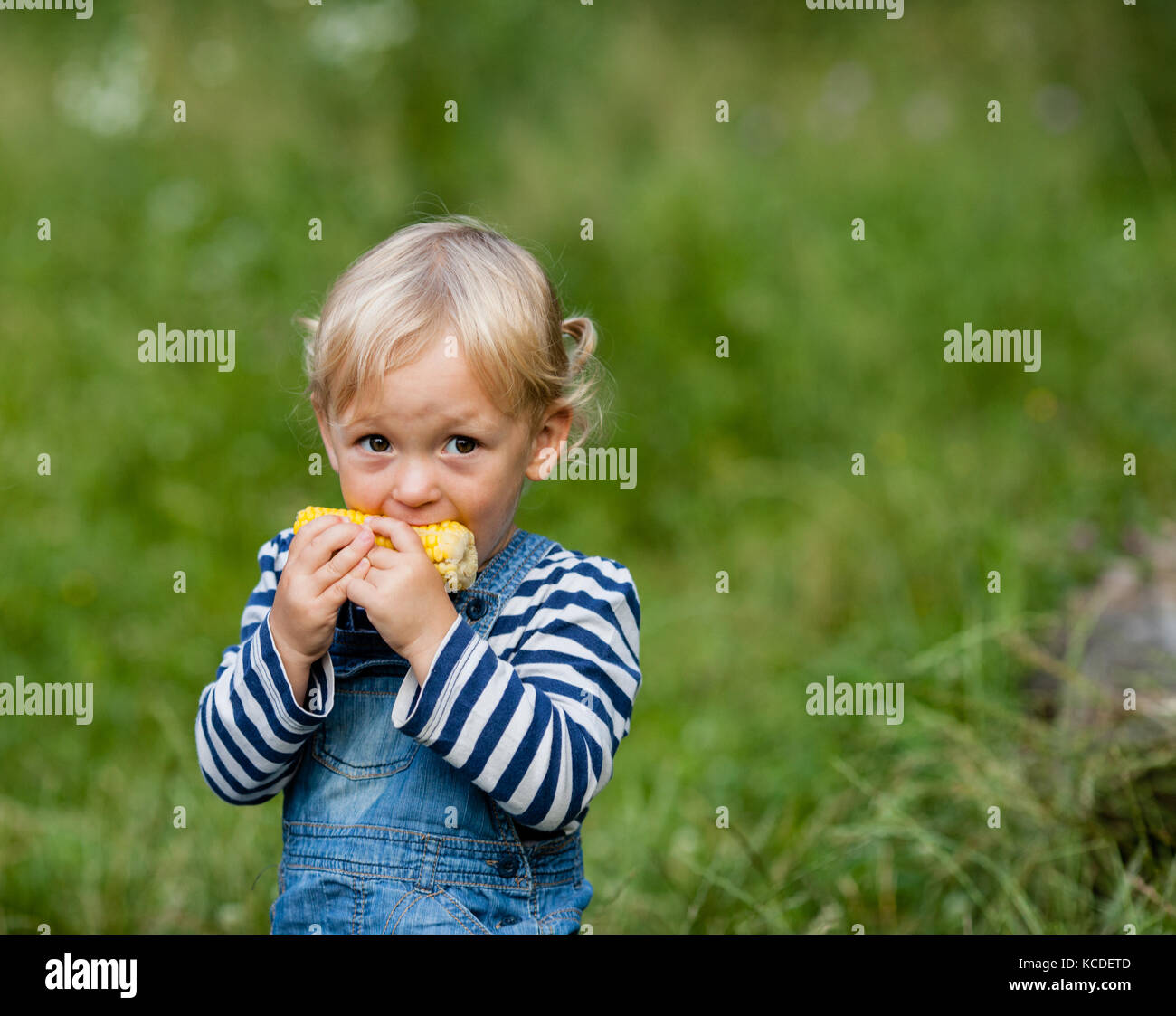 Snack on the nature Stock Photo - Alamy