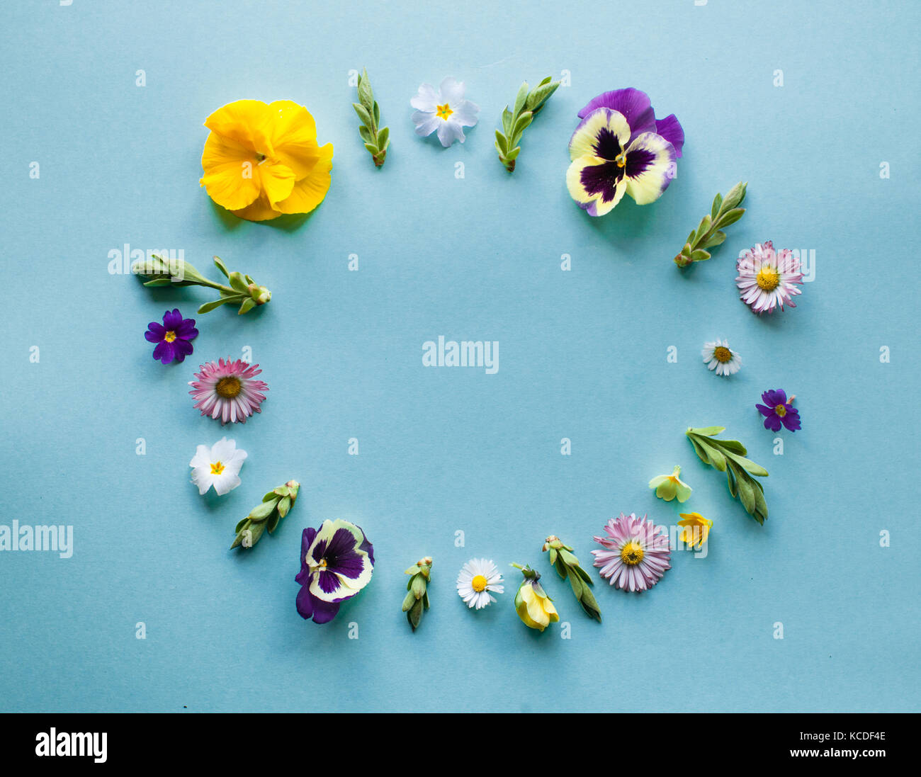 Spring flowers frame Stock Photo - Alamy