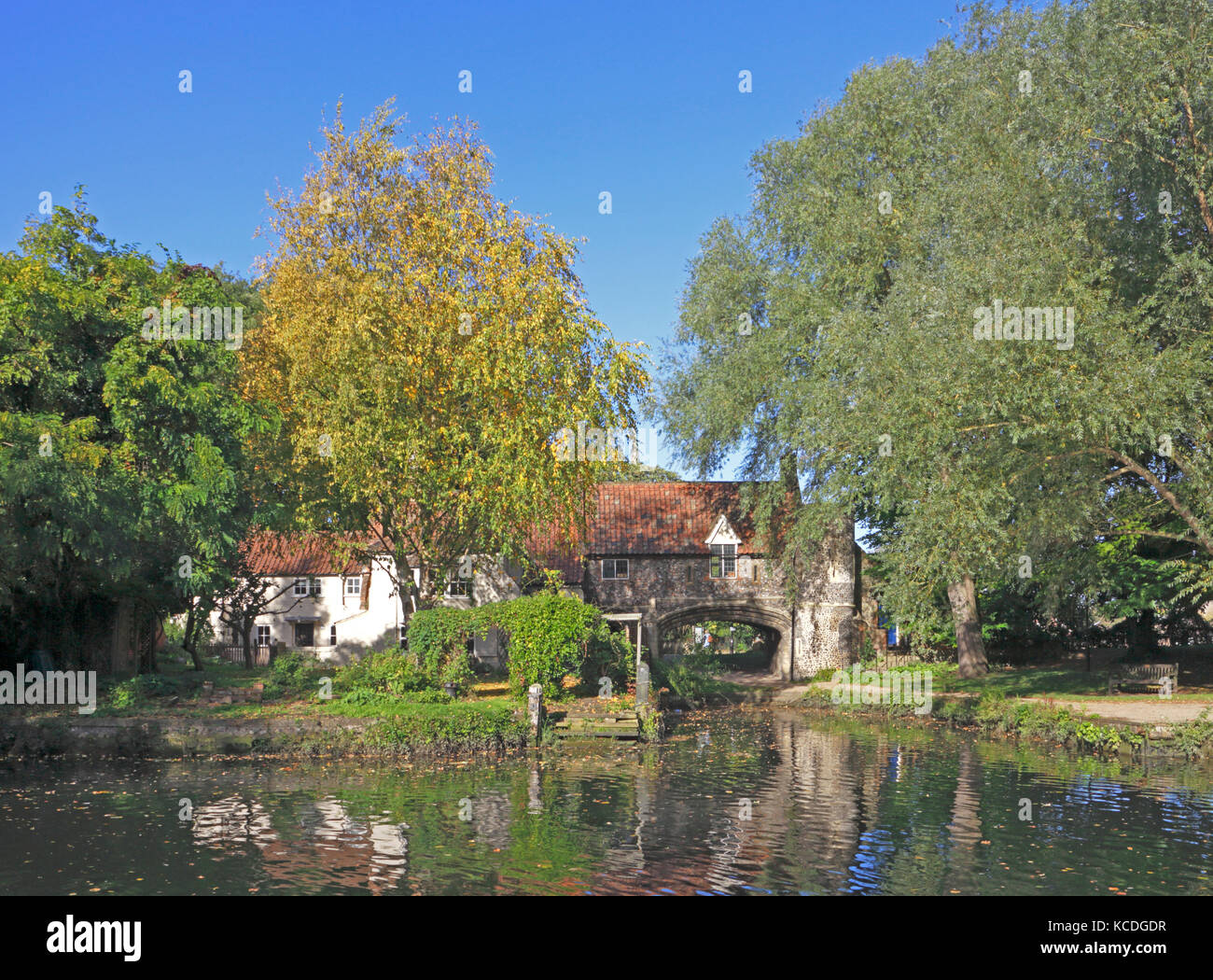 River wensum in norwich trees hi-res stock photography and images - Alamy