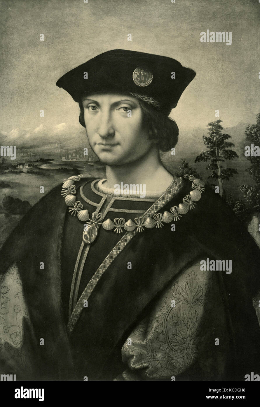 Portrait of Charles d'Amboise, painting by Andrea Solario Stock Photo ...