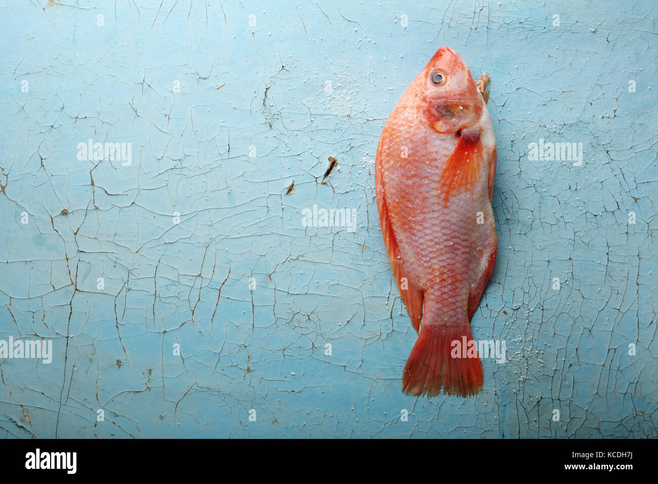 Fish on blue background, food above Stock Photo - Alamy
