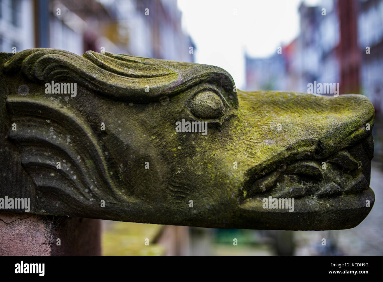 Ornaments, mouldings, gargoyle, low reliefs in a sandstone, granite ...