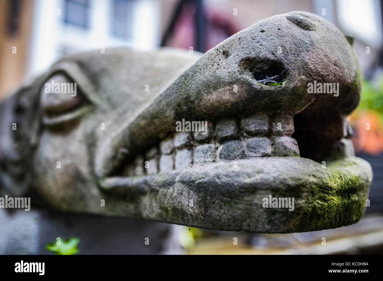 Ornaments, mouldings, gargoyle, low reliefs in a sandstone, granite ...