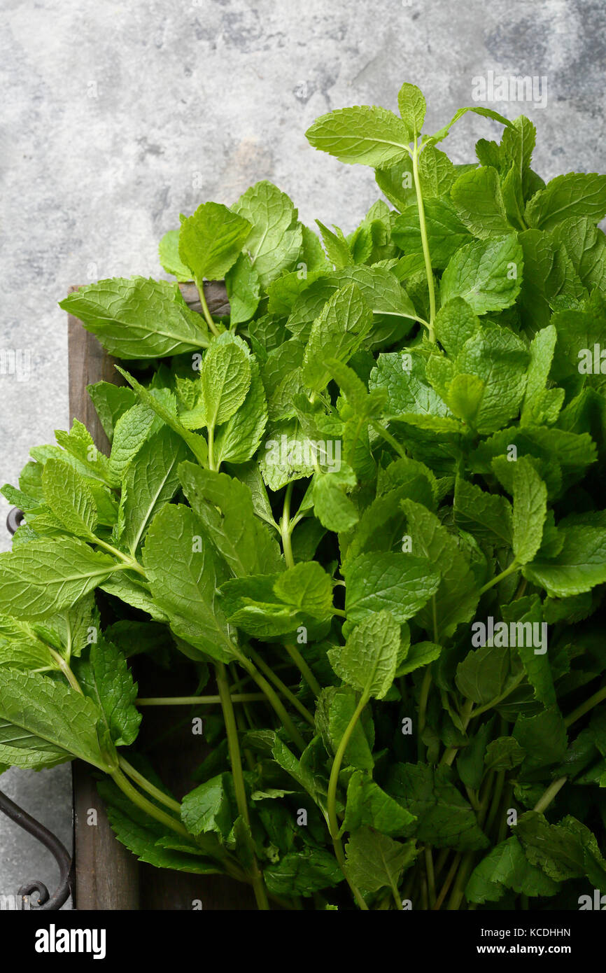Bunch of green mint, food Stock Photo - Alamy