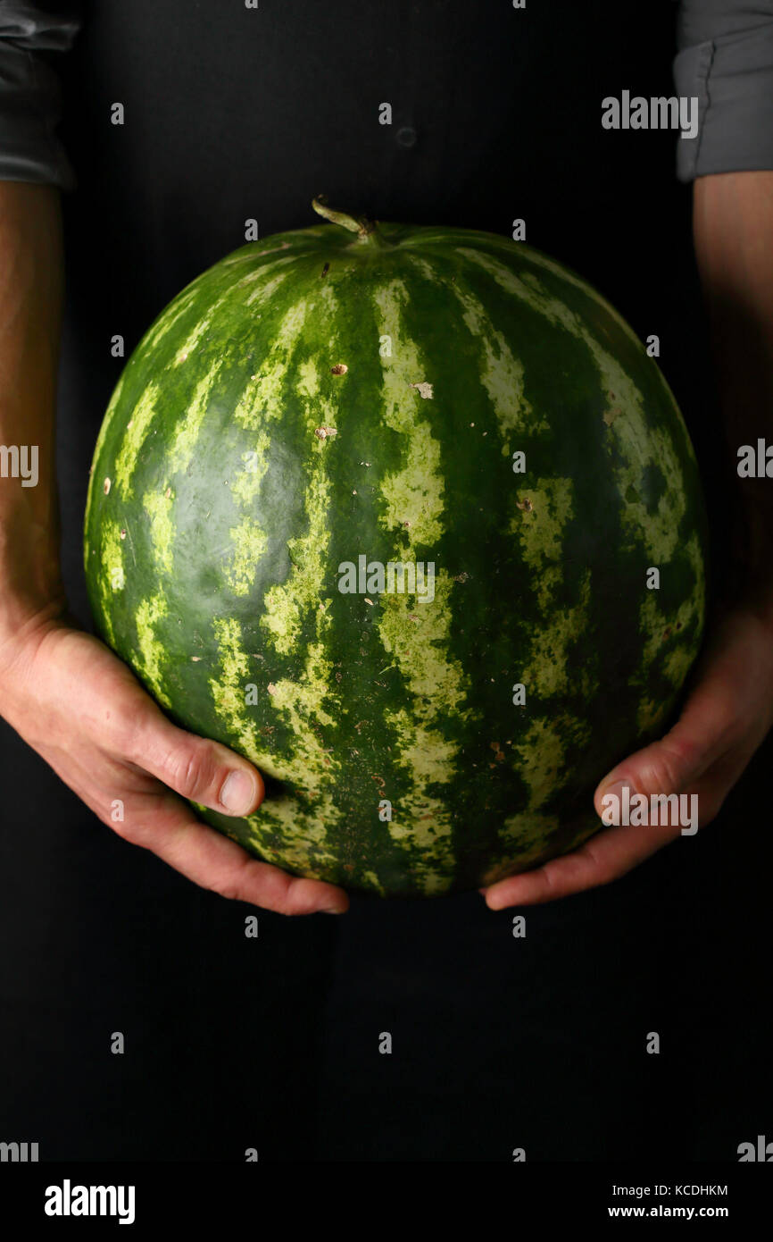 Organic Watermelon in man's hand, food closeup Stock Photo - Alamy