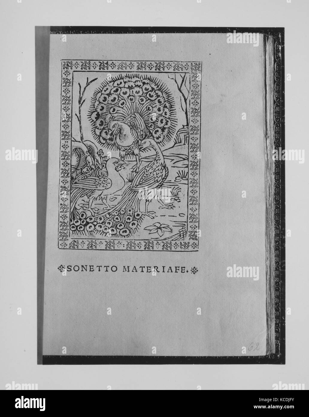 26 7 x 26 7 cm Black and White Stock Photos & Images - Alamy