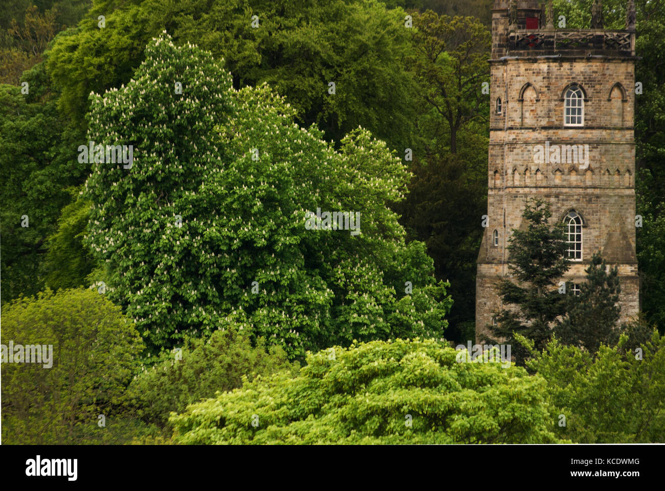 Culloden tower hi-res stock photography and images - Alamy