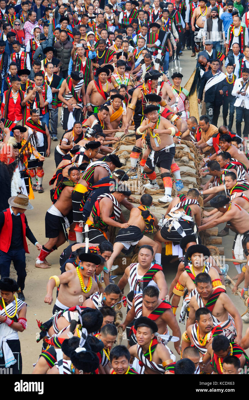 Stone pulling ceremony during Kisima Nagaland Hornbill festival, Kohima ...