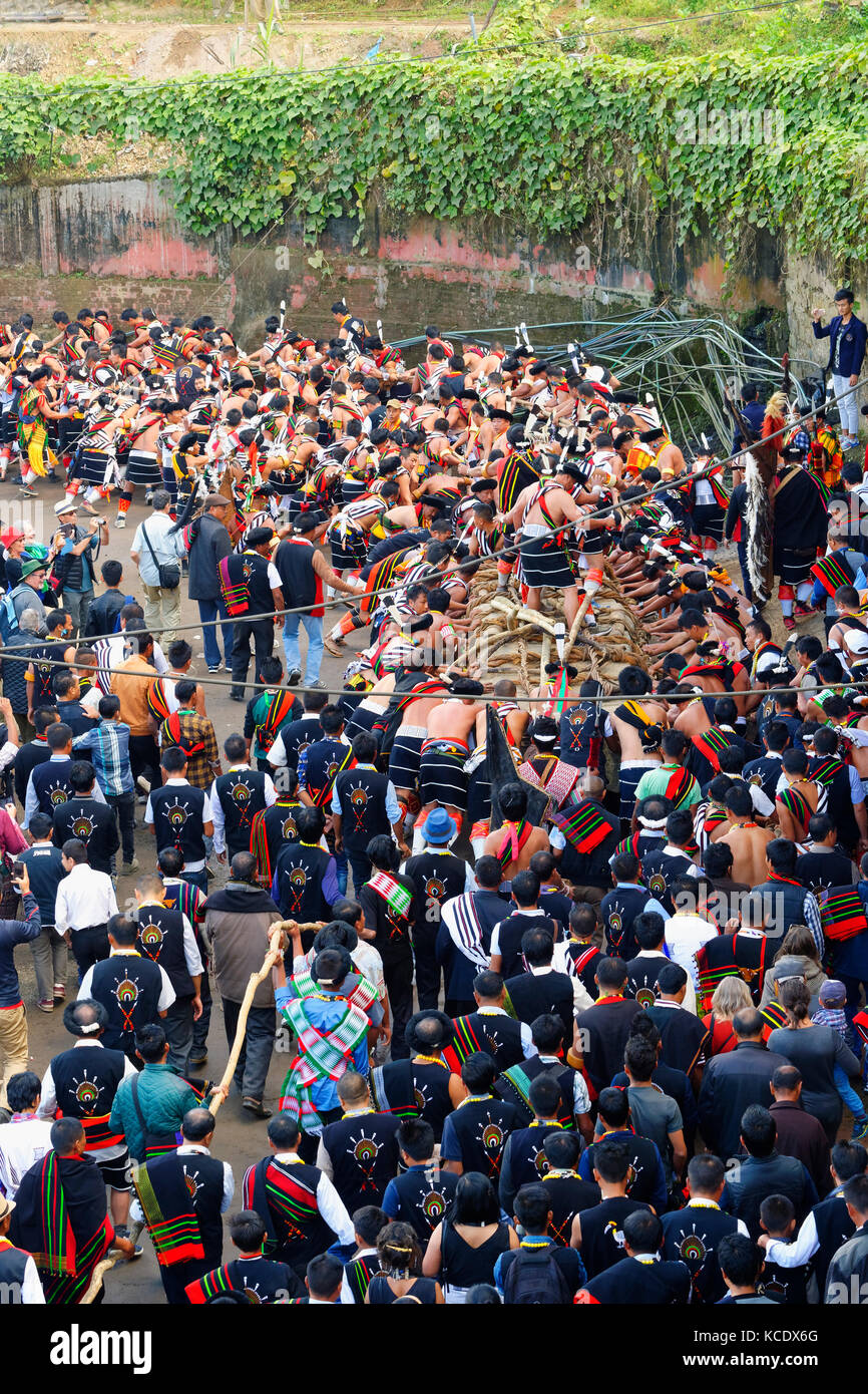 Stone pulling ceremony during Kisima Nagaland Hornbill festival, Kohima ...