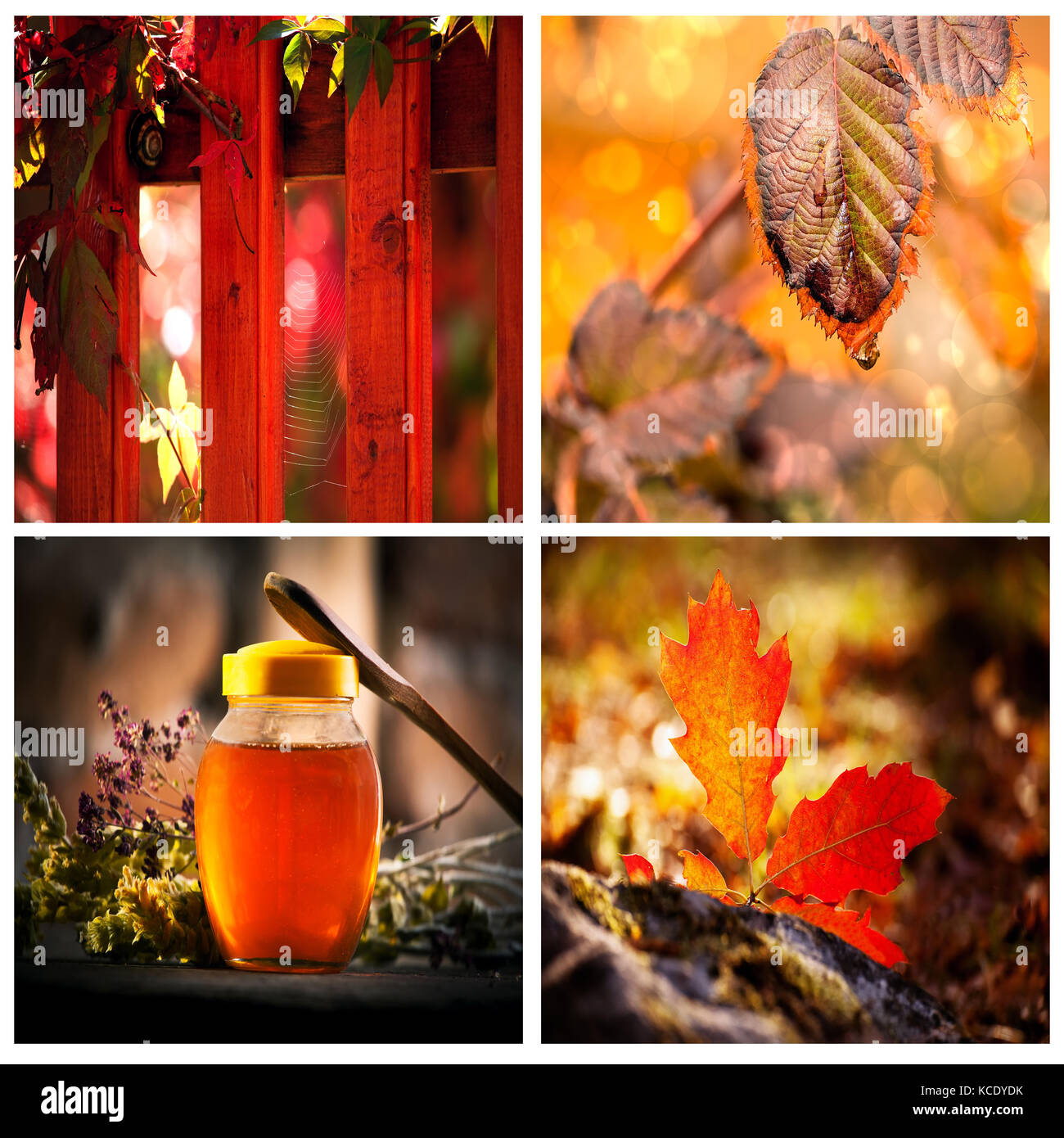 autumn mood conceptual collage Stock Photo - Alamy