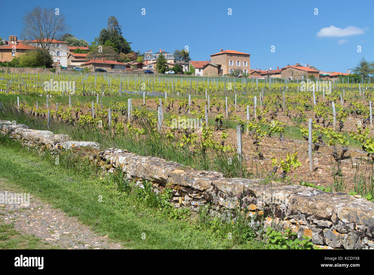 Beaujolais landscape hi-res stock photography and images - Alamy