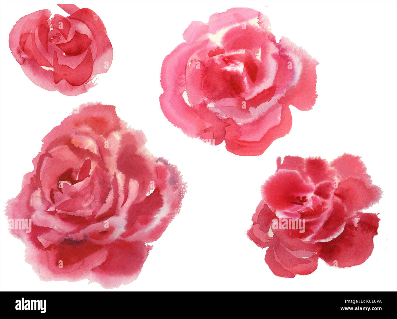 Rose flowers handmade watercolor seamless pattern gentle Stock Photo ...
