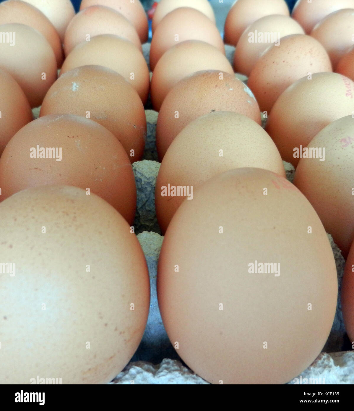 picture of fresh eggs in box for sale at a market Stock Photo - Alamy