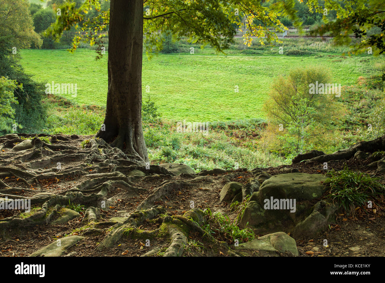 Harrisons Rocks High Resolution Stock Photography and Images - Alamy