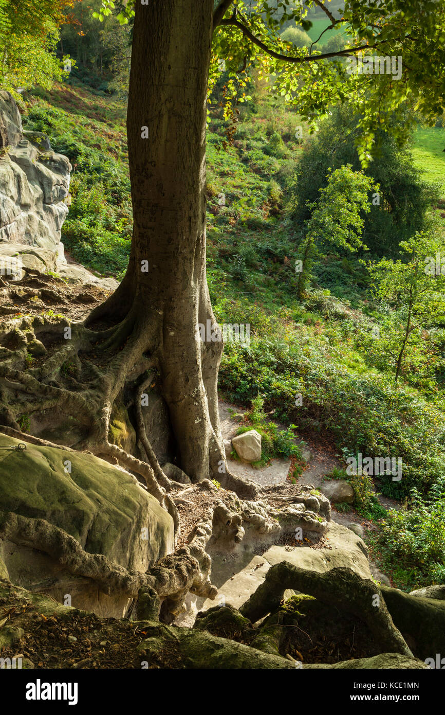 Harrison’s rocks hi-res stock photography and images - Alamy
