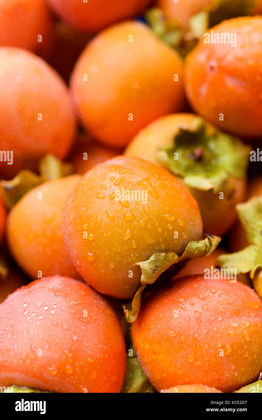 closeup of a pile of ripe persimmons after the harvesting Stock Photo ...