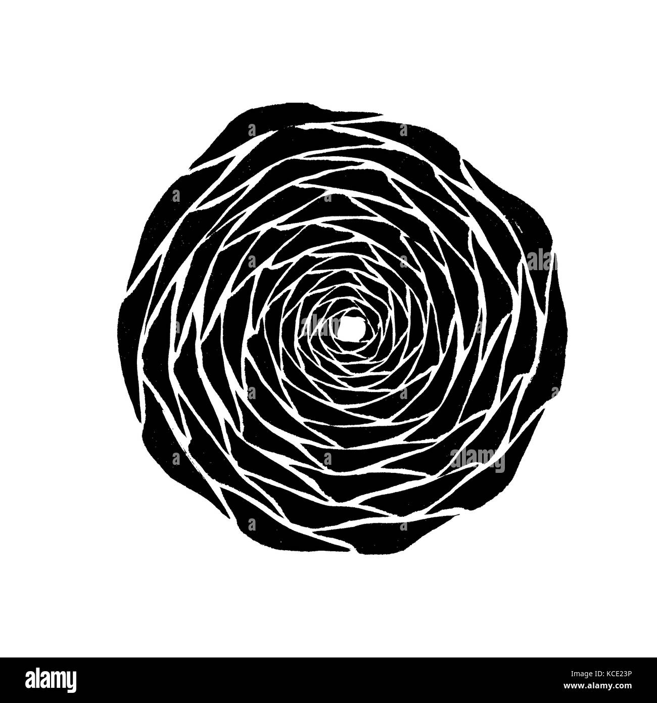 Gentle pink rose flowers Black and White Stock Photos & Images - Alamy