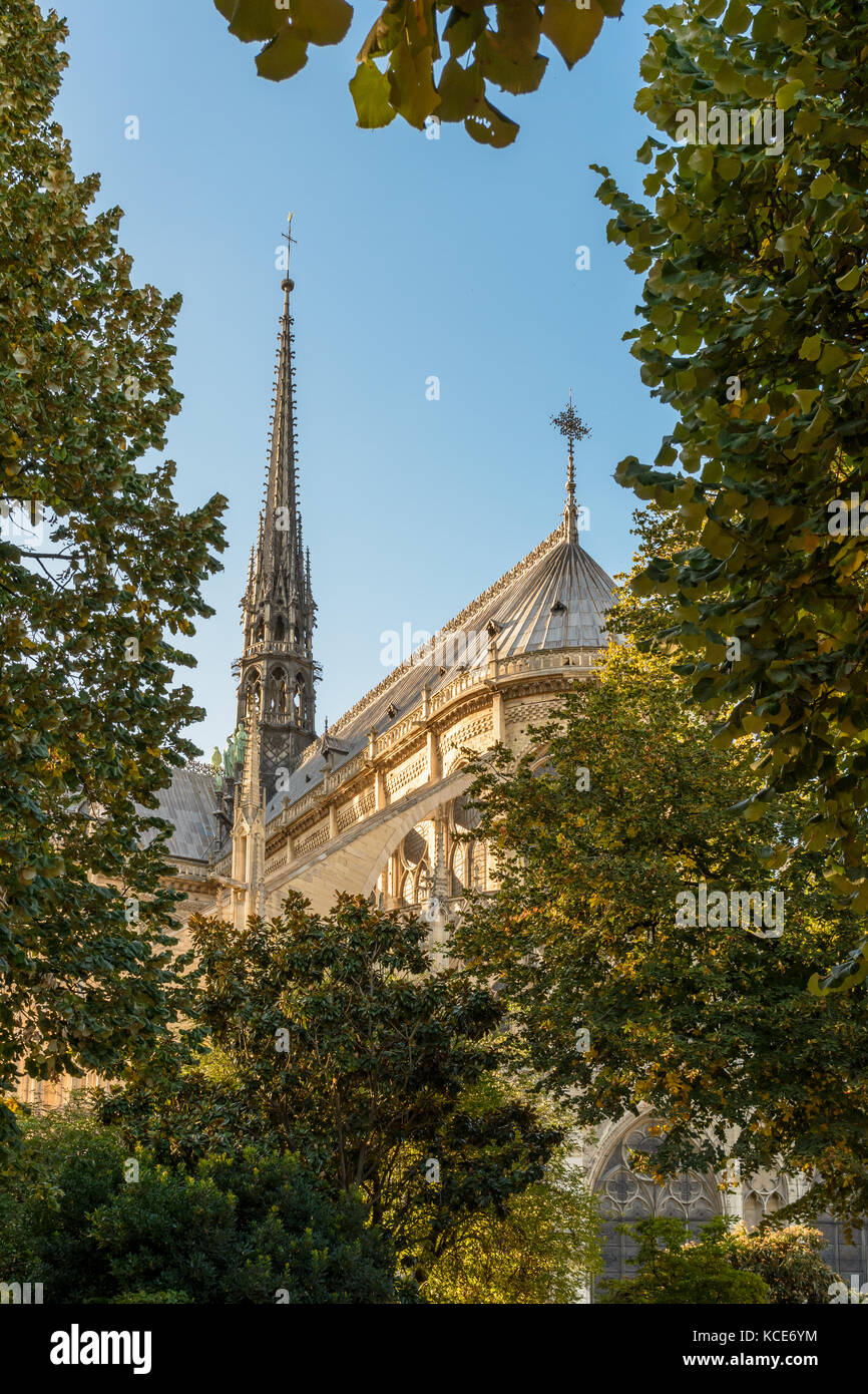 Rear view of Notre-Dame de Paris cathedral through the trees at sunset ...
