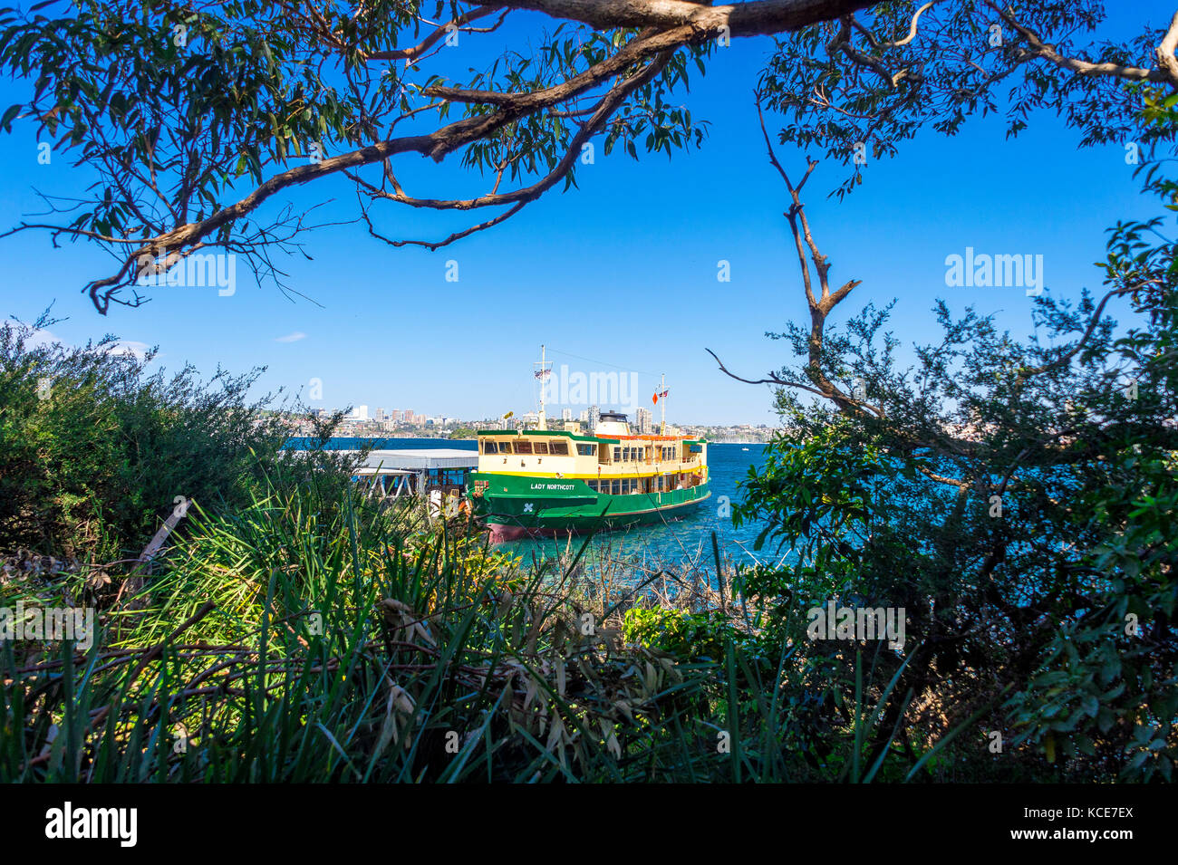 A Sydney Ferry docks at Taronga Zoo wharf Stock Photo - Alamy