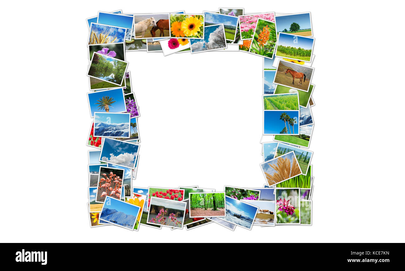 Frame made of various nature photos Stock Photo - Alamy