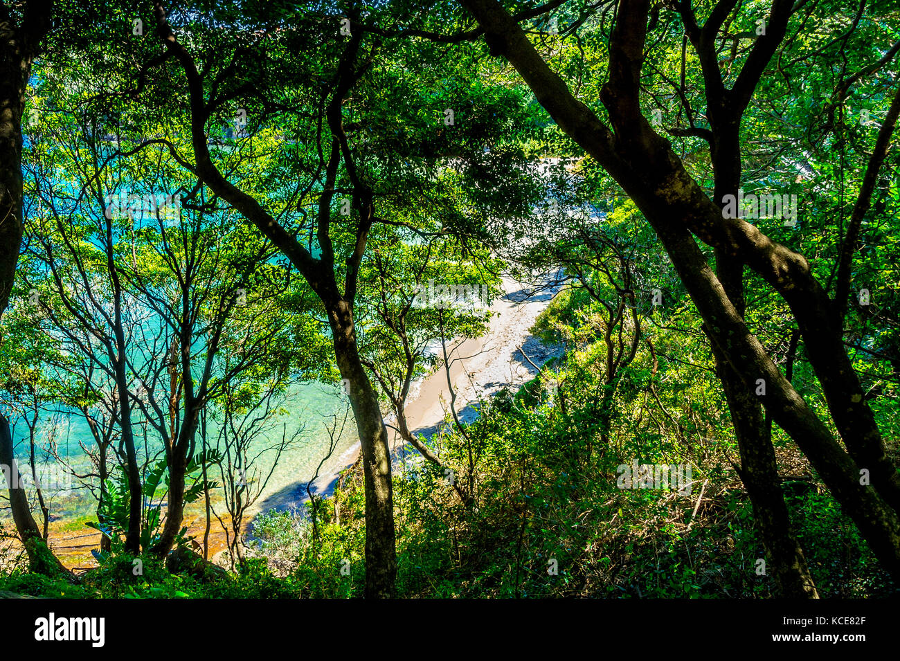 The secluded Whiting Beach in Sydney Harbour Stock Photo - Alamy