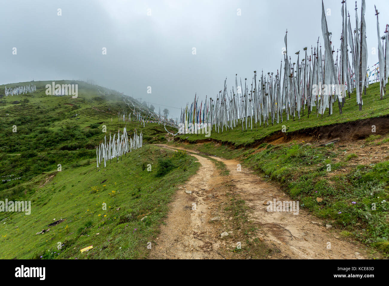 Chele La Pass in Bhutan separates Paro from the Haa valley and raches ...