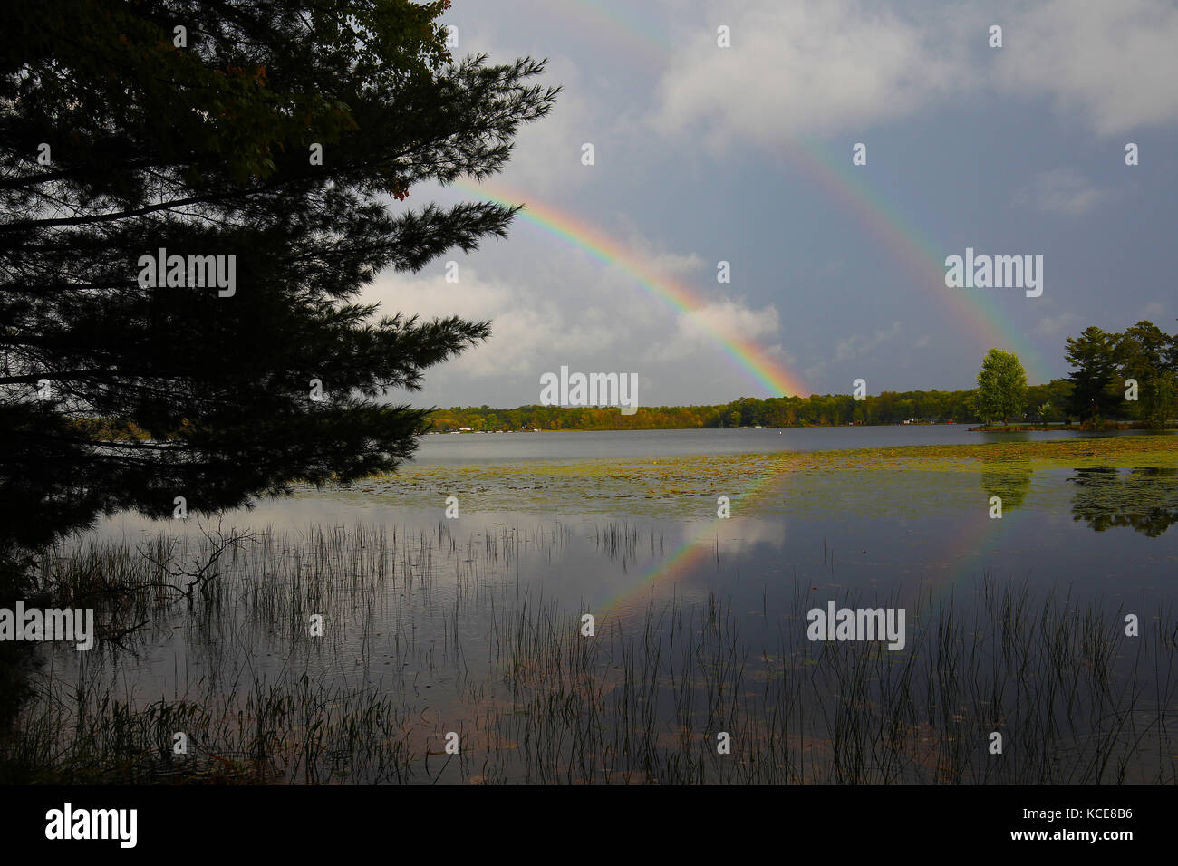 Double bloomer hi-res stock photography and images - Alamy