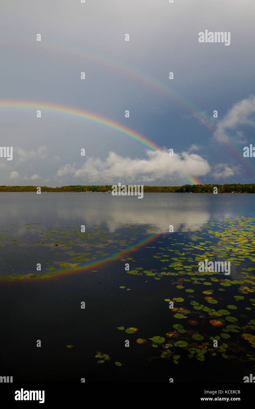 Double bloomer hi-res stock photography and images - Alamy