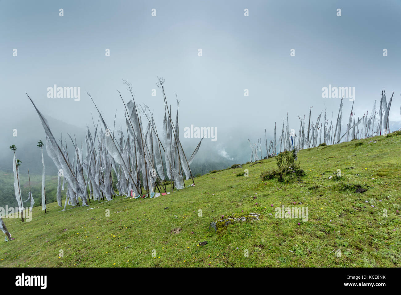 Chele La Pass in Bhutan separates Paro from the Haa valley and raches ...