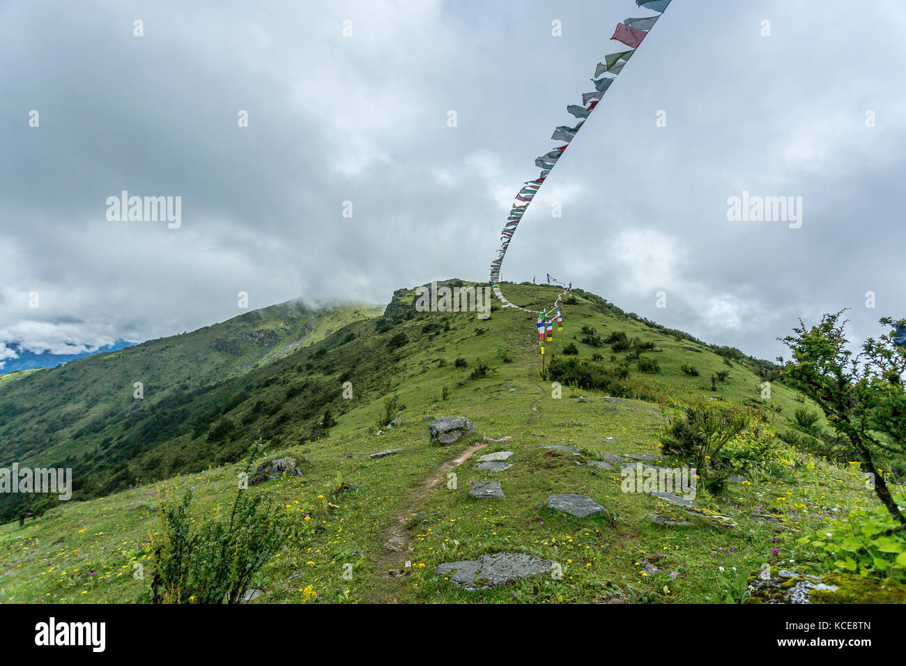 Chele La Pass in Bhutan separates Paro from the Haa valley and raches ...