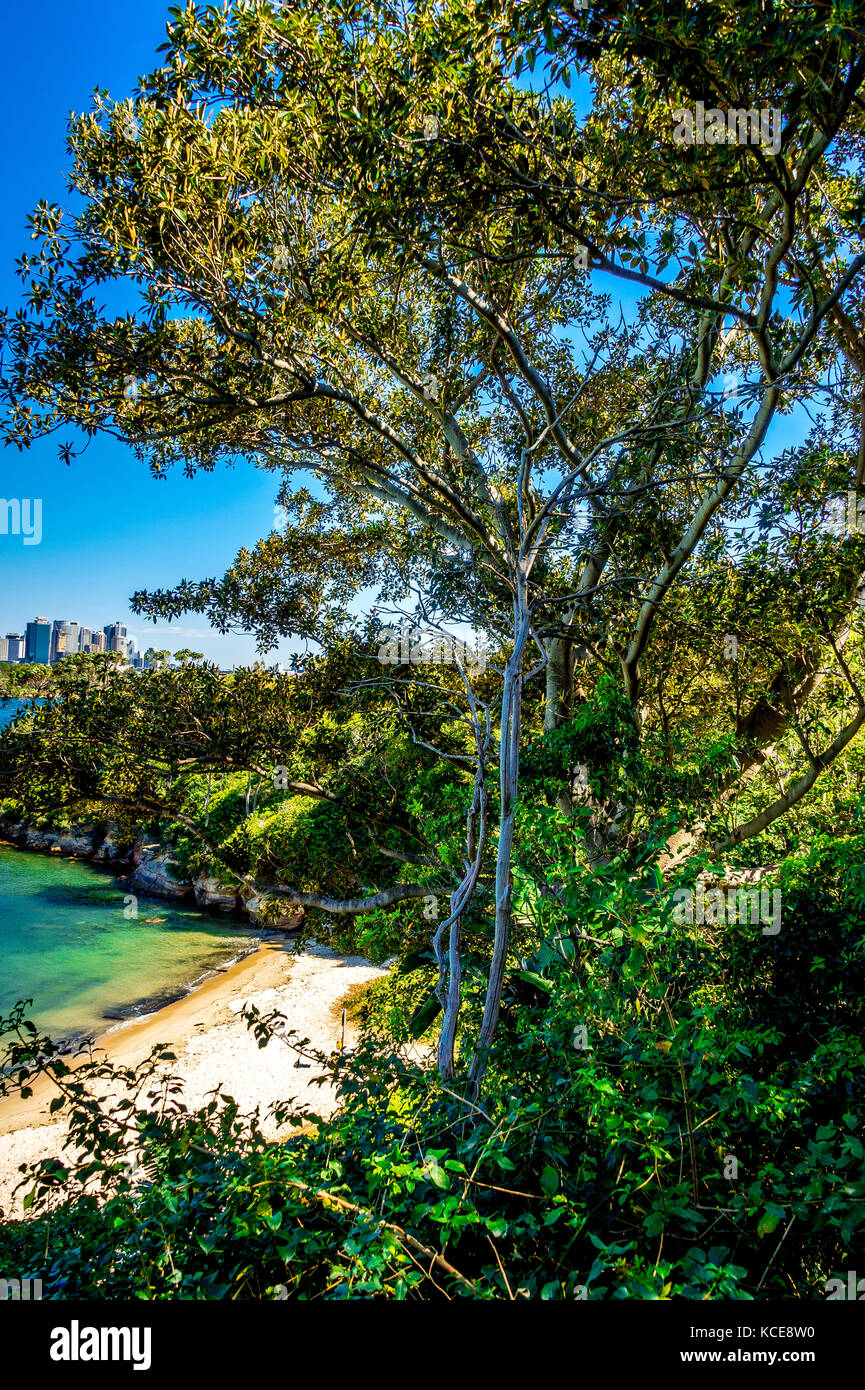 The secluded Whiting Beach in Sydney Harbour Stock Photo - Alamy