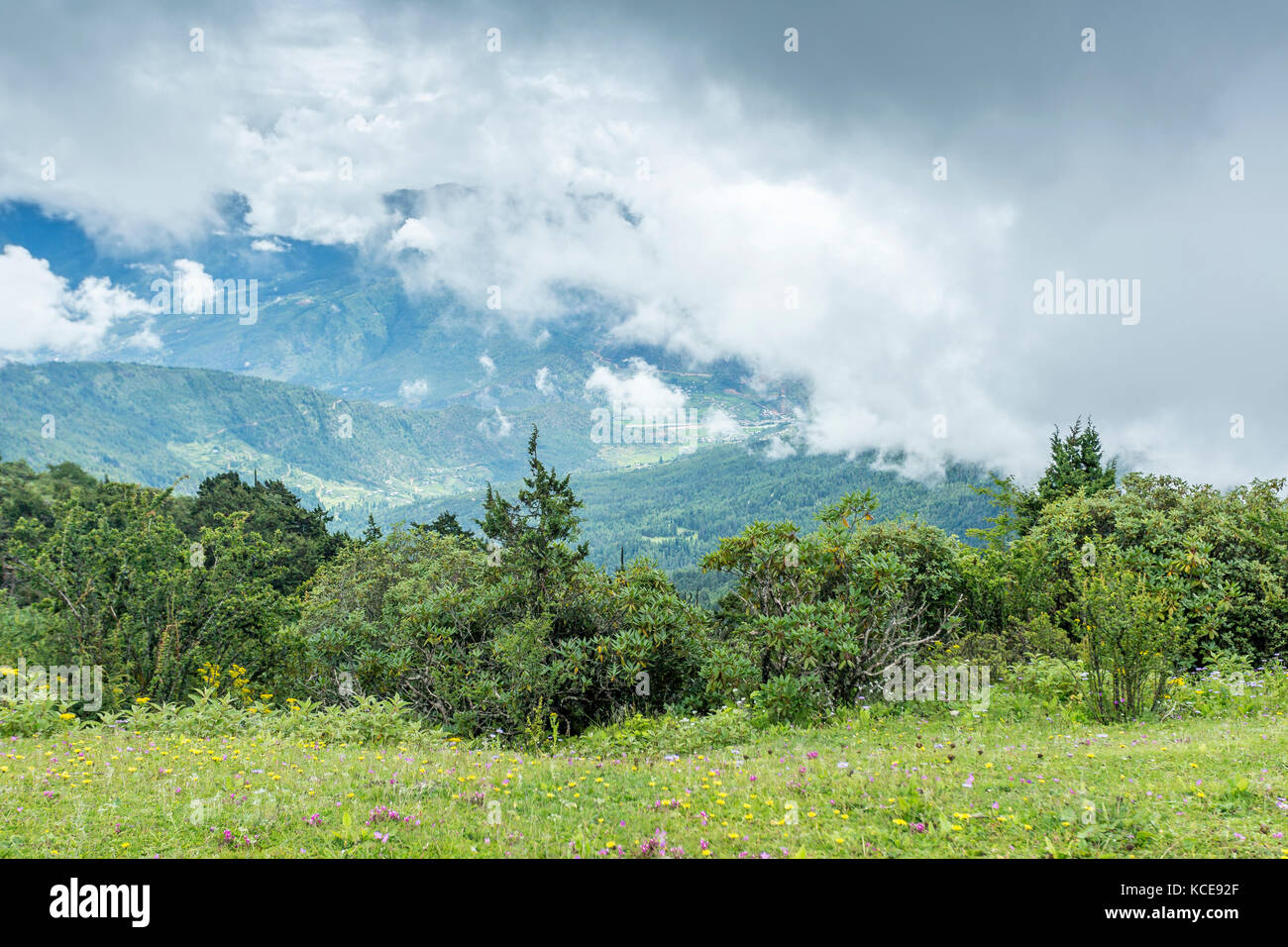 Chele La Pass, Bhutan, lies around 4,000 metres above sea level and ...
