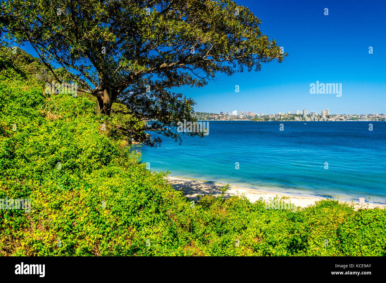 The secluded Whiting Beach in Sydney Harbour Stock Photo - Alamy