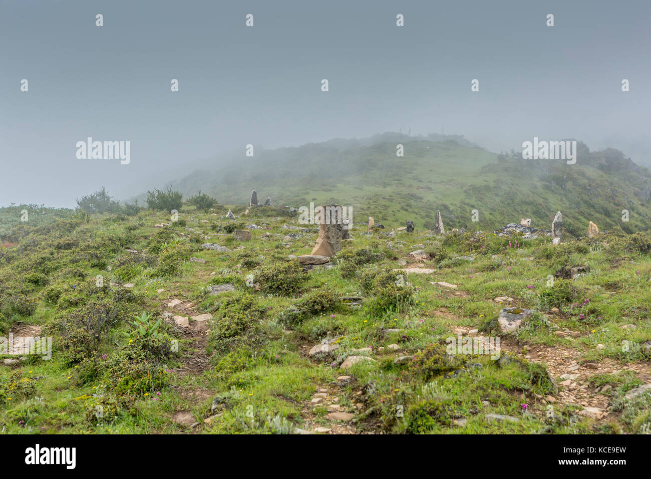 Chele La Pass, Bhutan, lies around 4,000 metres above sea level and ...