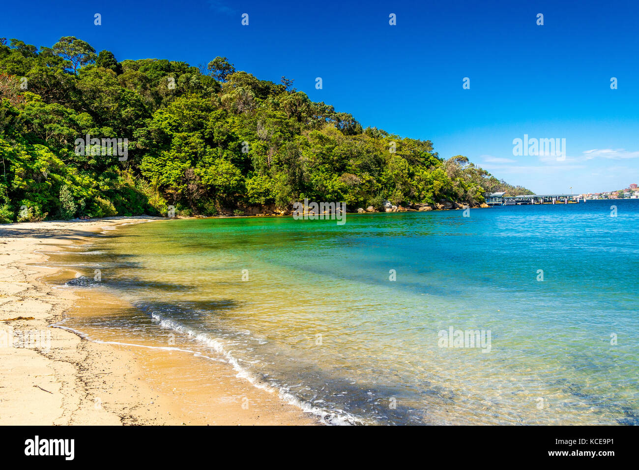 The secluded Whiting Beach in Sydney Harbour Stock Photo - Alamy