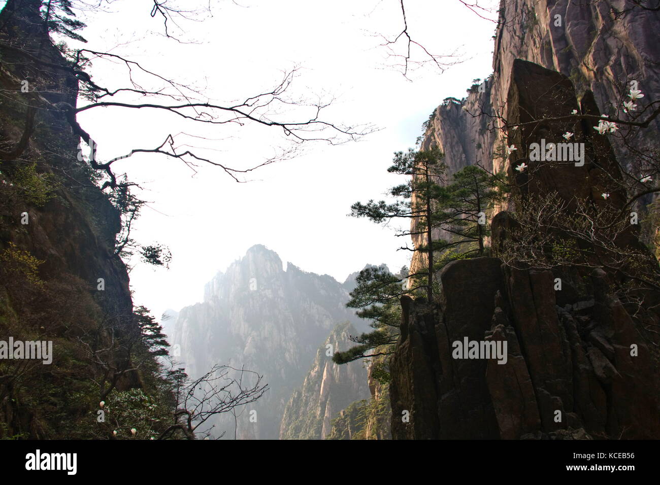 the Amazing Stunning View of Huangshan Mountain, Yellow Mountaing ...