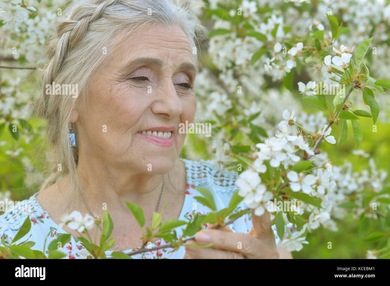 senior woman near blooming tree Stock Photo - Alamy