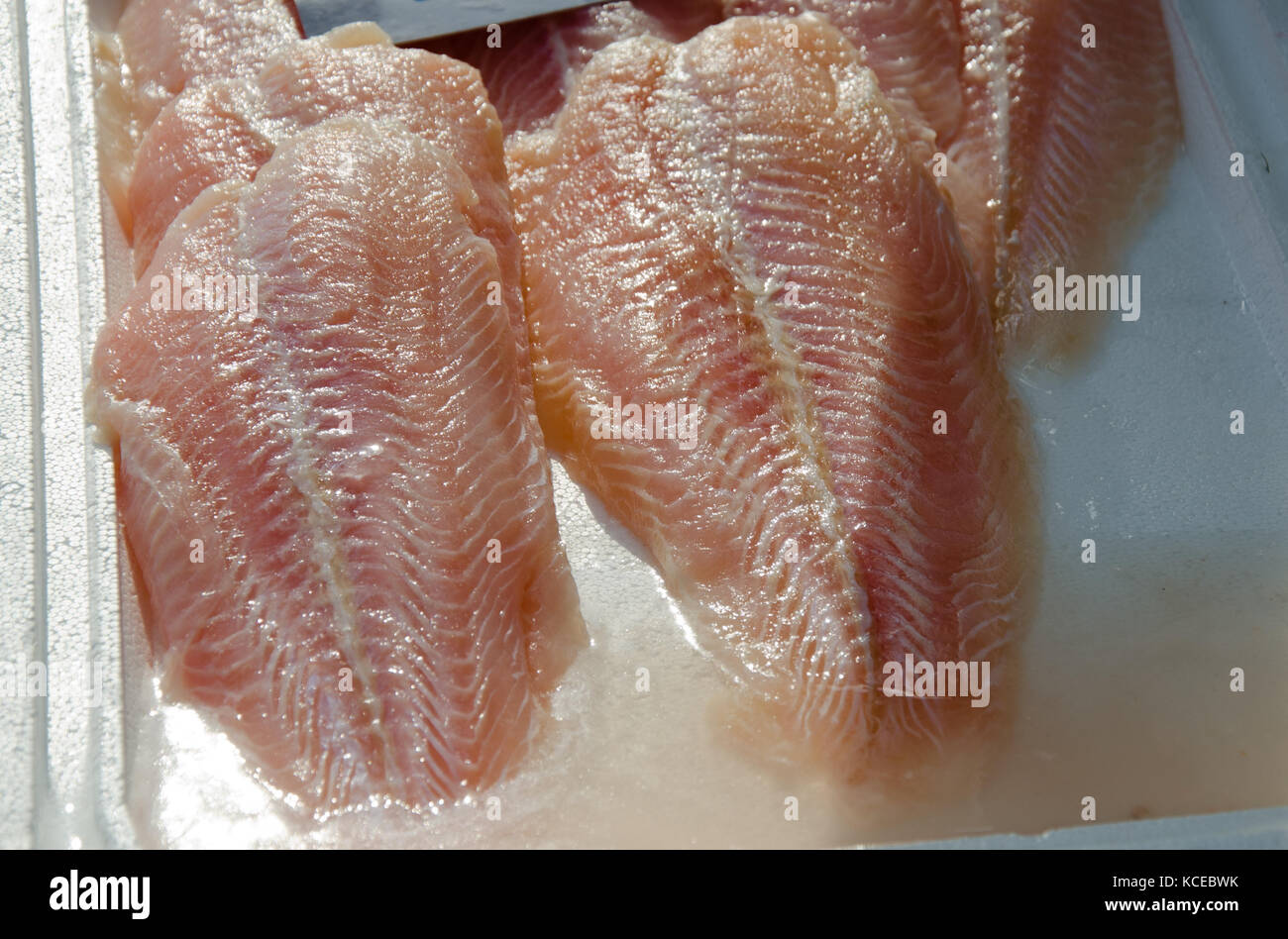 fresh fish slice on the market for sale Stock Photo - Alamy