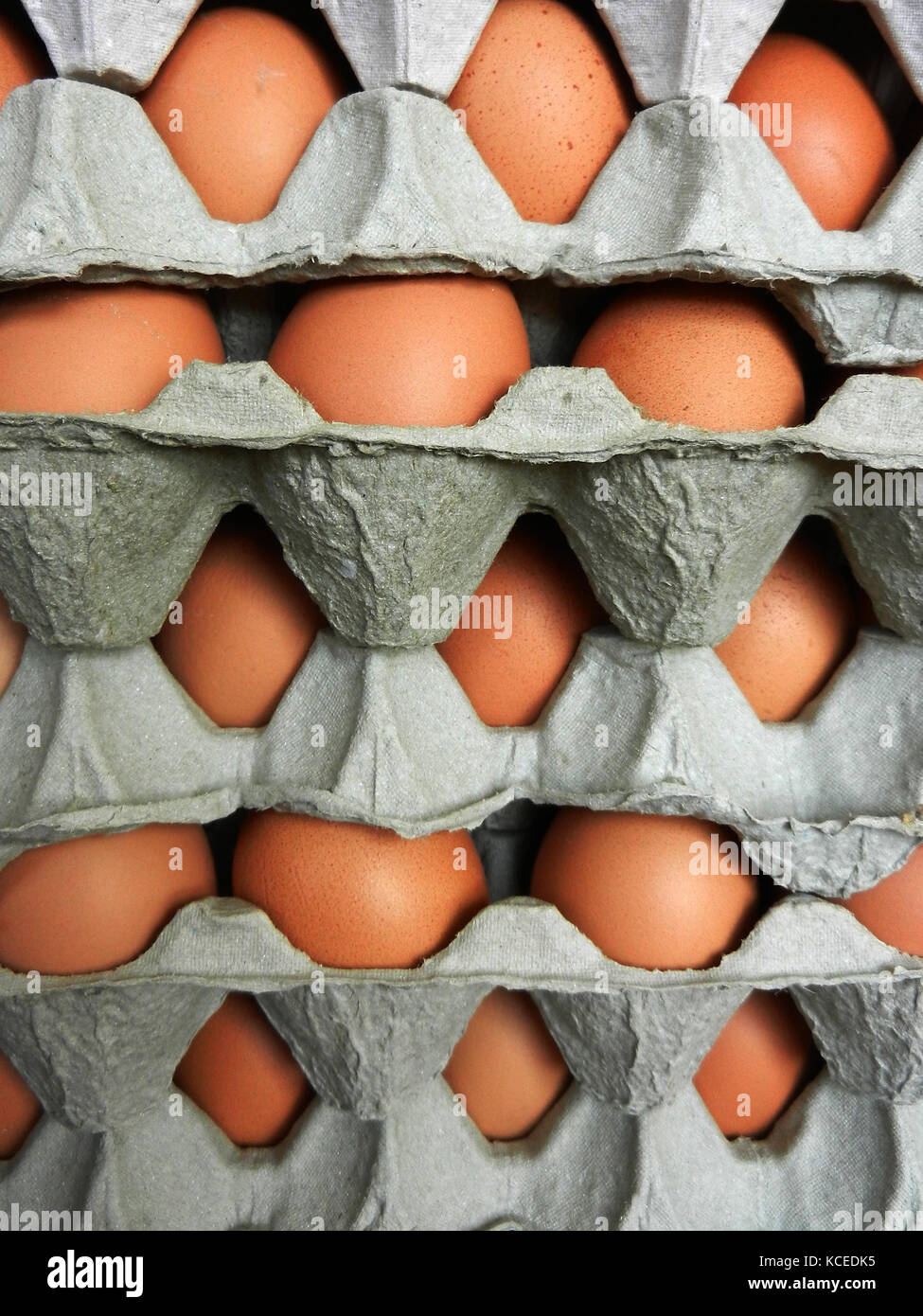 picture of fresh eggs in box for sale at a market Stock Photo - Alamy