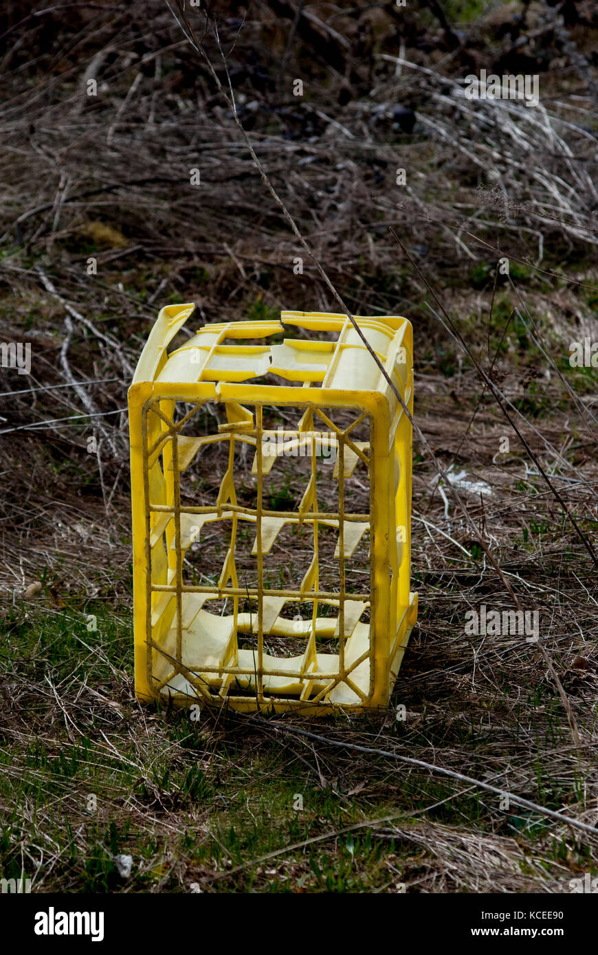 Pet pollution, picture of a plastic garbage, pollution concept Stock ...