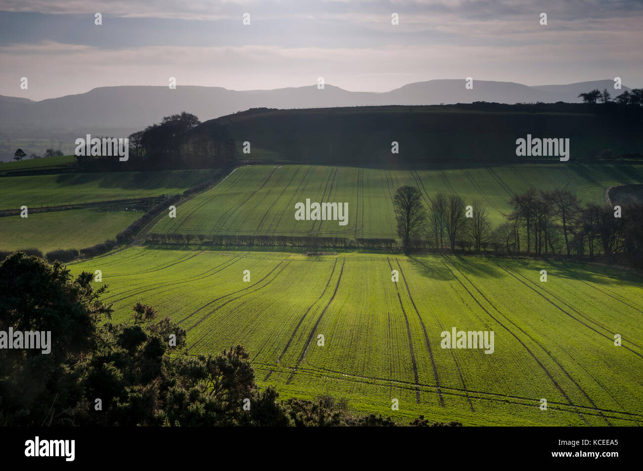 A view of farmland in front of Cliff Rigg, an old disused quarry on the ...