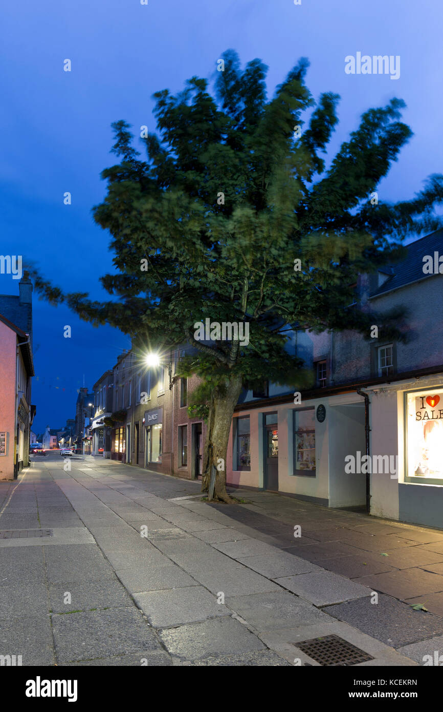 Kirkwall Big Tree, Orkney Stock Photo - Alamy