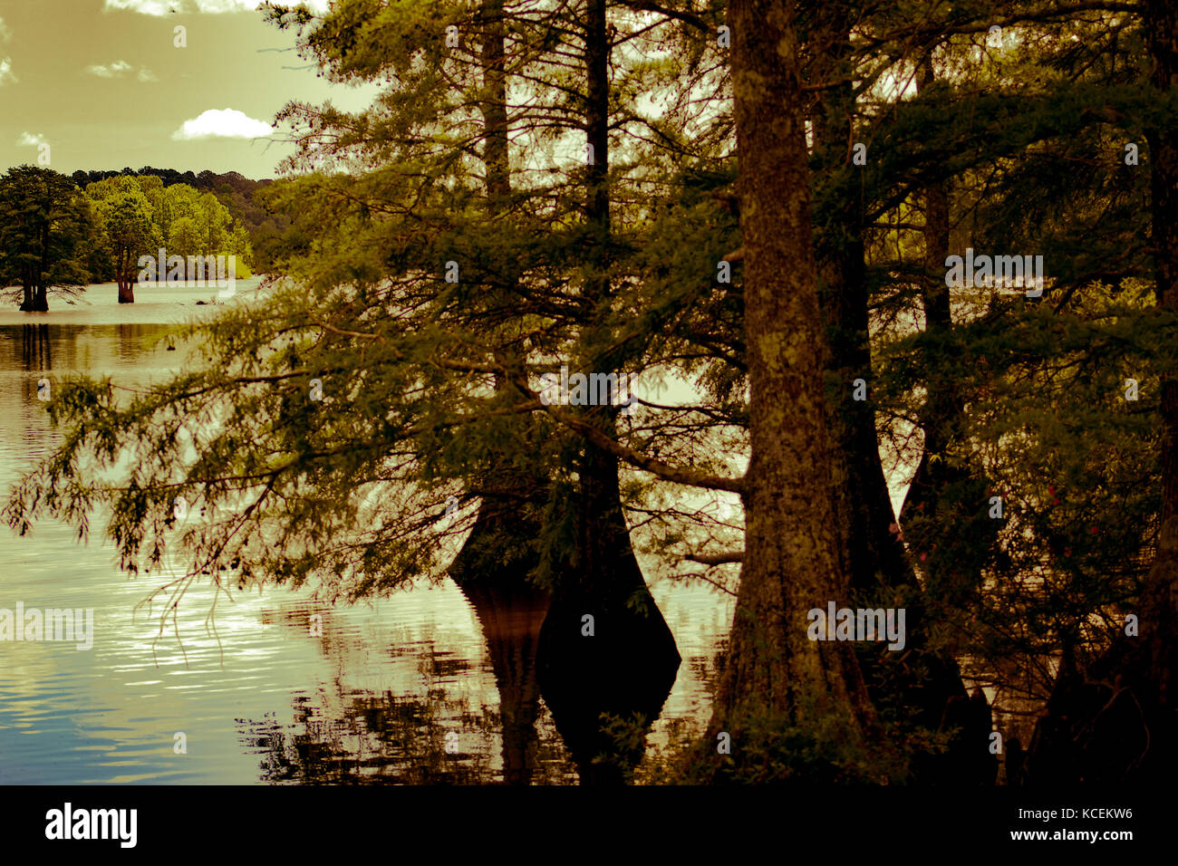 A beautiful lake landscape Stock Photo - Alamy