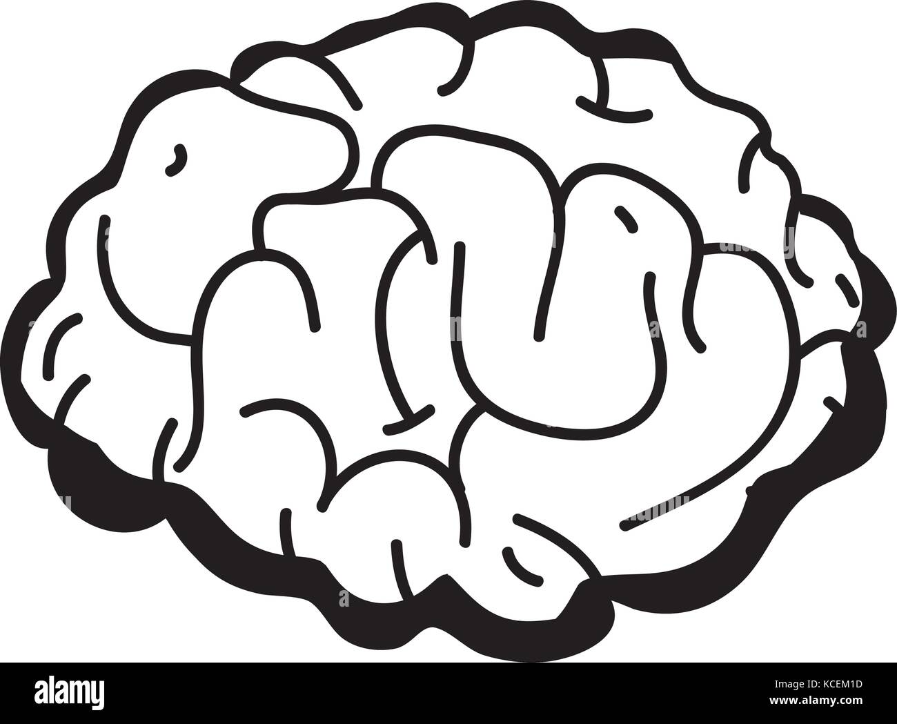contour human brain anatomy to creative and intellect Stock Vector ...