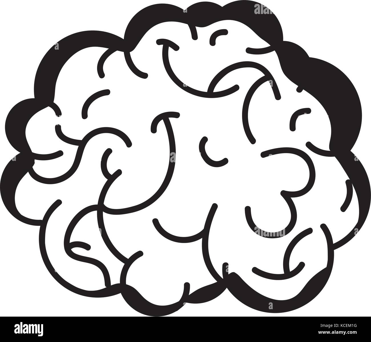 contour human brain anatomy to creative and intellect Stock Vector ...