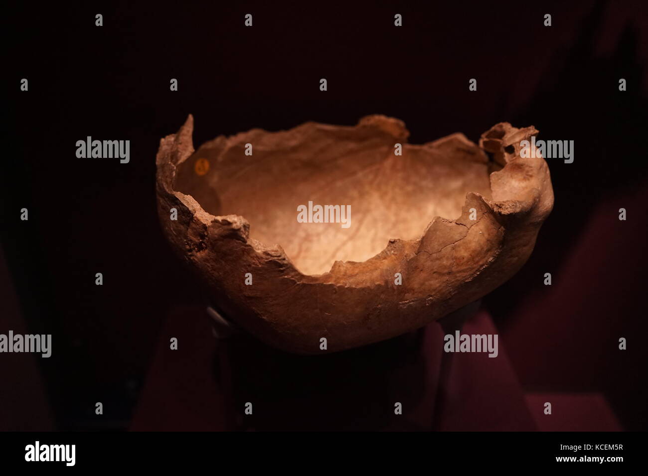 Human cannibalism hi-res stock photography and images - Alamy