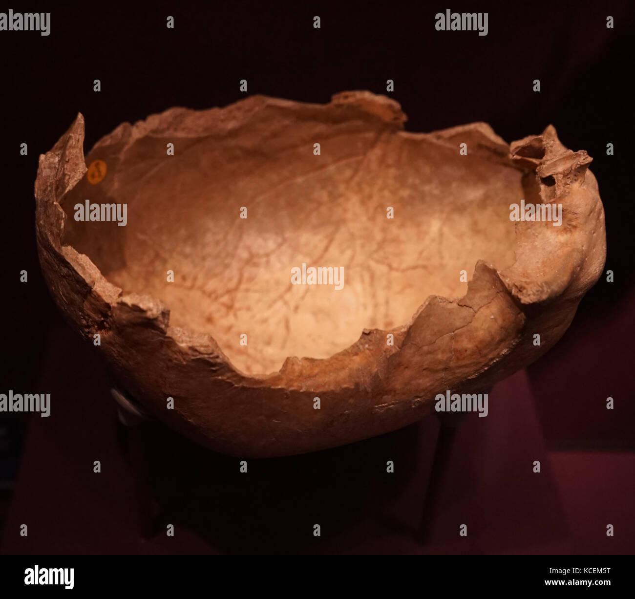 Skull cap hi-res stock photography and images - Alamy