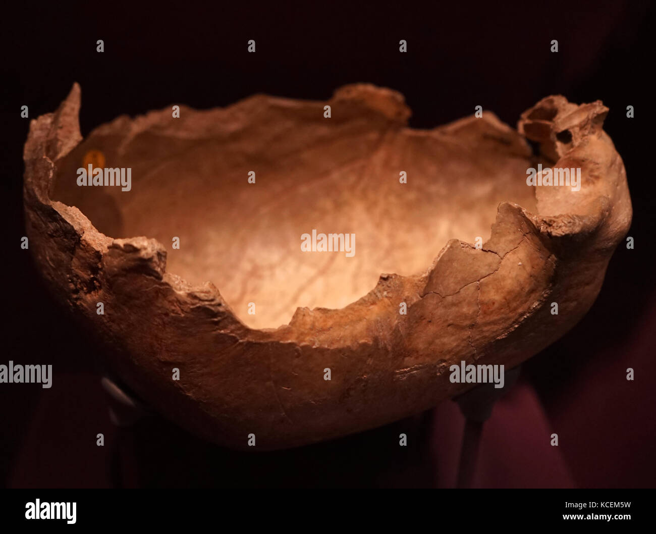 Human cannibalism hi-res stock photography and images - Alamy